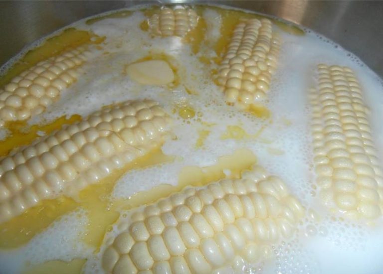 Boiled Corn – Best Cooking recipes In the world
